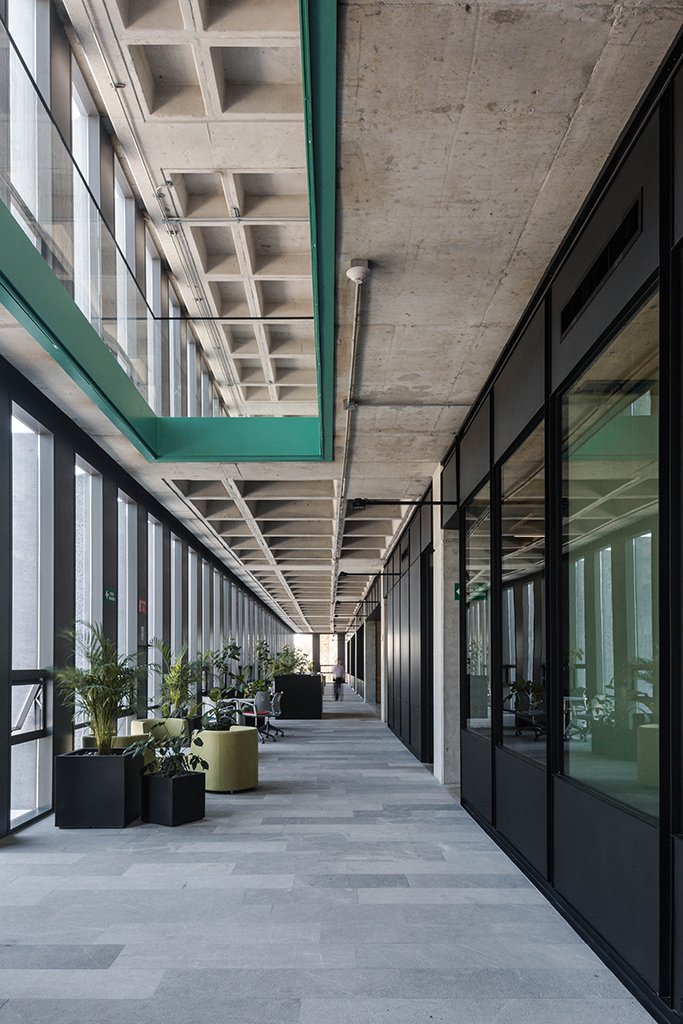 EBC GDL – Rodrigo Valenzuela Jerez